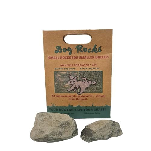 Dog Rocks Small Pack 100g – Pet Naturals