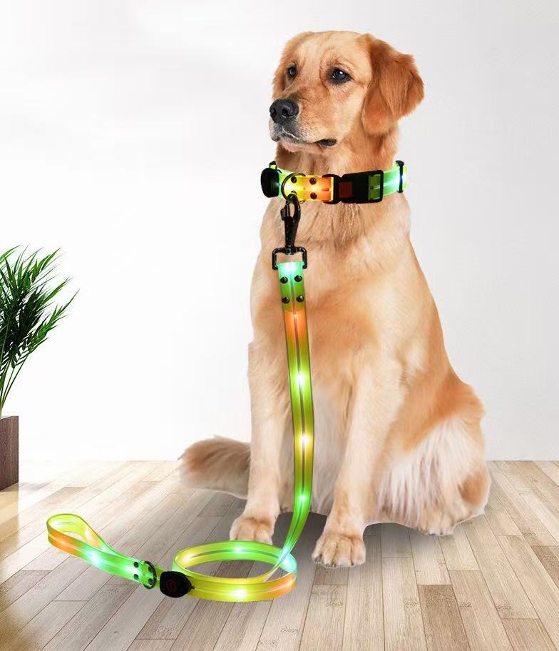 LED Collar – Pet Naturals